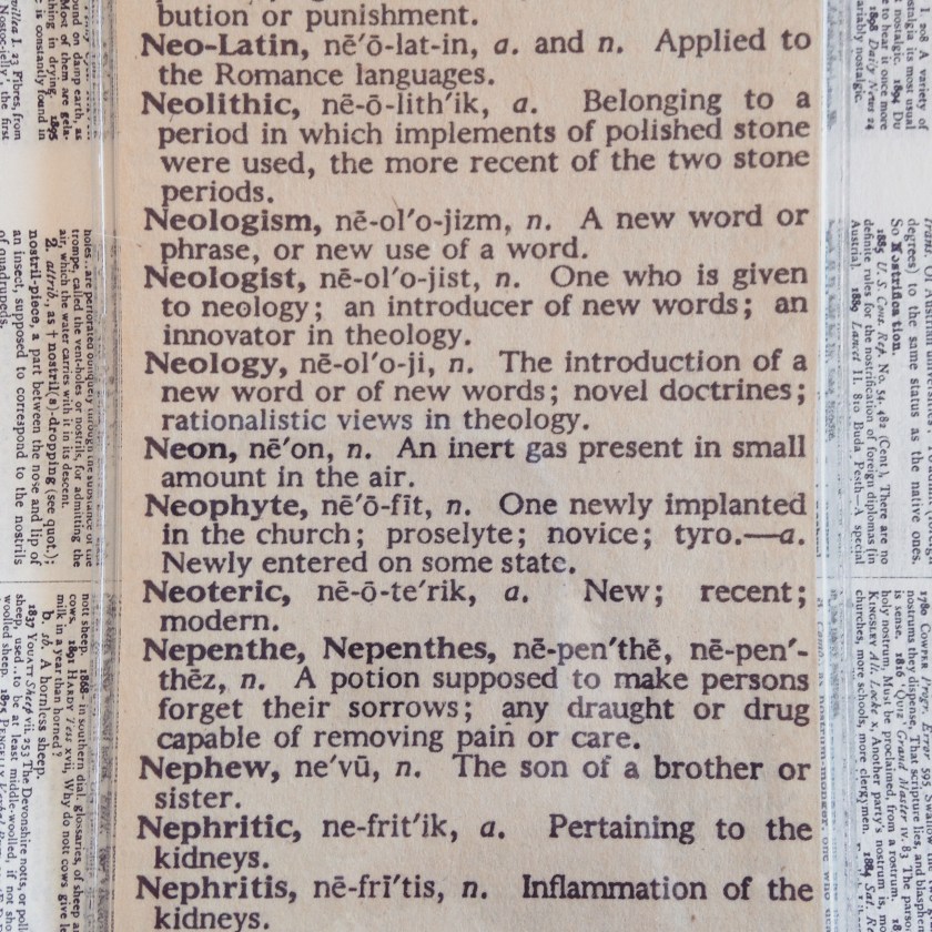 nepenthe, n – Found Words